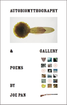 Autobiomythography & Gallery – Joe Pan